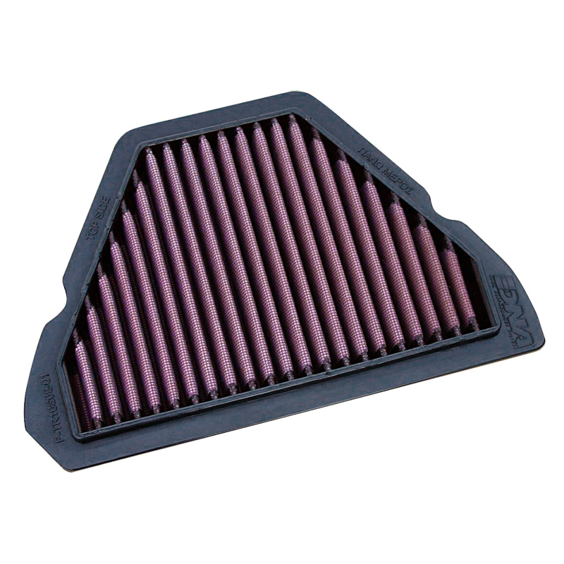 DNA P-TR10S05-01 Air Filter for Triumph Tiger / Sprint 1050 ...