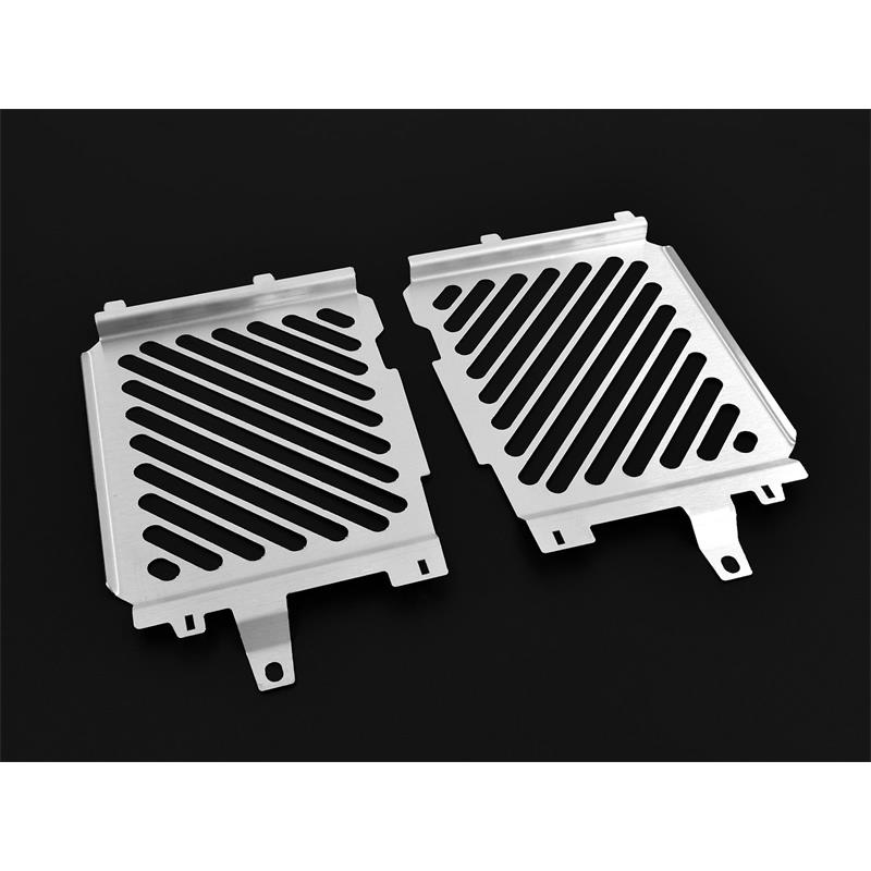 Zieger 10003814 Clean Radiator Guard, Silver for BMW R1200GS '15-'18 ...