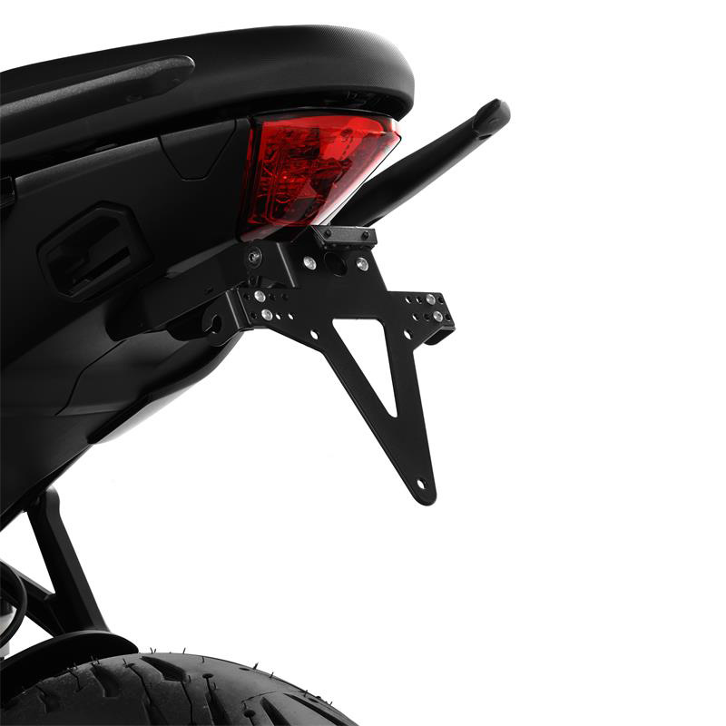 Zieger 10010190 Classic Complete License Plate Holder for Triumph Tiger ...