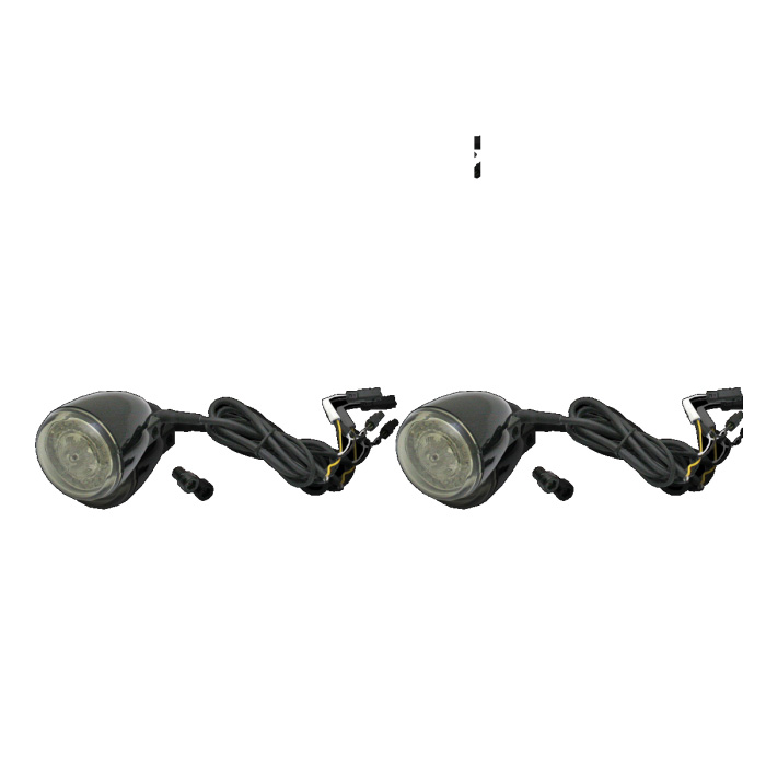 Custom Dynamics PB-IND-FTS-AW Probeam Dynamic Ringz for Indian Chief ...