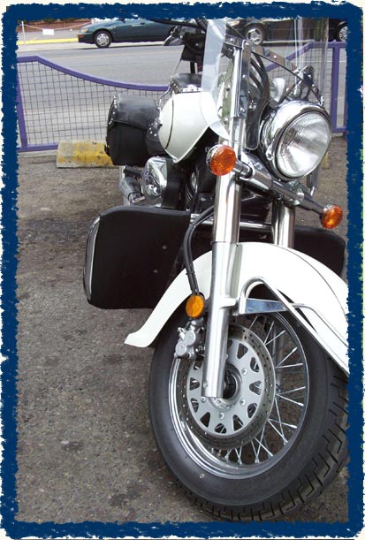 Sage Brush Engine Guard Chaps - Volusia / C50 / M50 with MC Enterprises ...